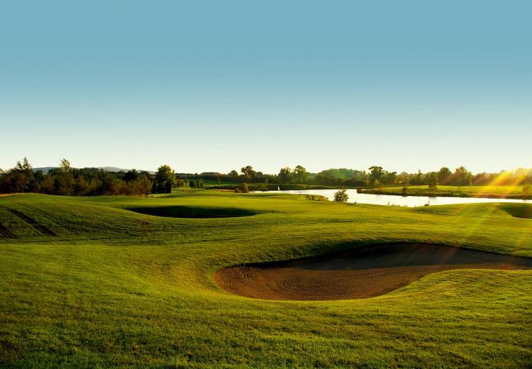 Grange Castle Golf Club: 2 | 3 or 4 Green Fees