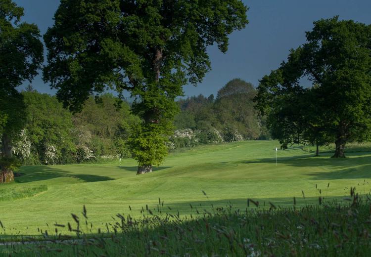 Rathsallagh Golf Club: 2 or 4 Green Fees + A Buggy