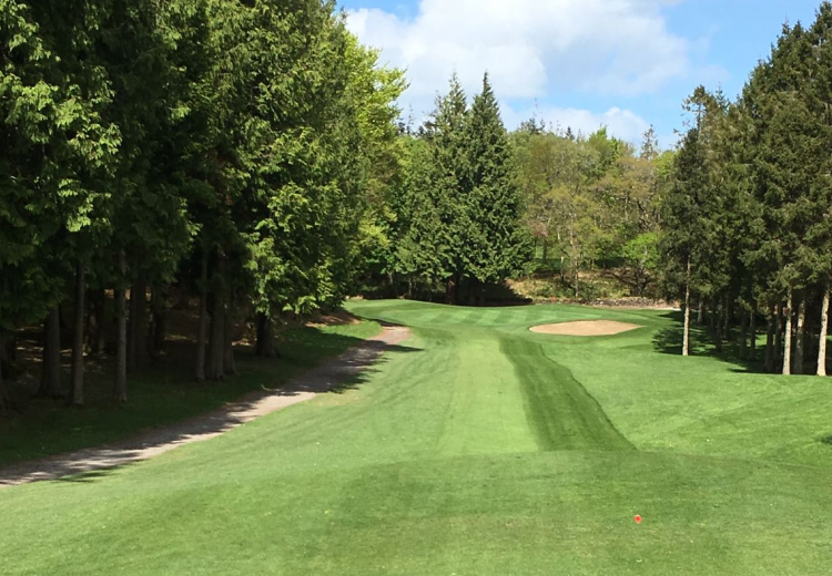 Portumna Golf Club: 2 Green Fees + A Buggy