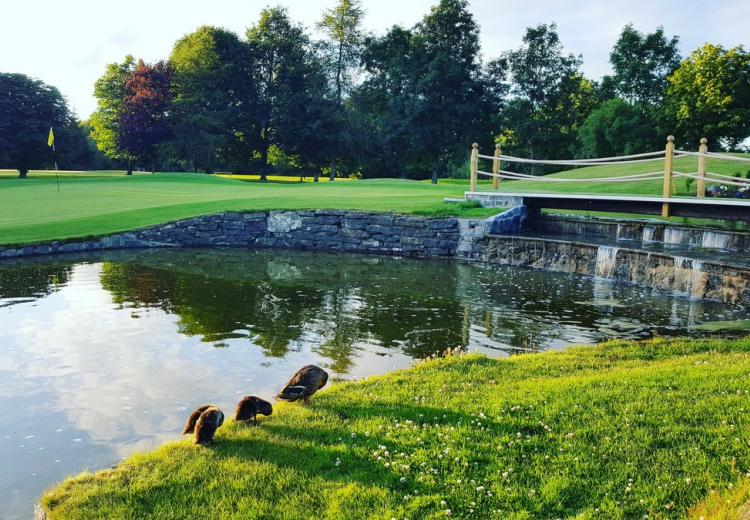 Black Bush Golf Club: 2 Green Fees