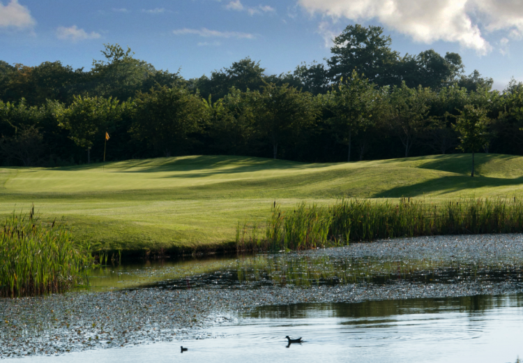 Portarlington Golf Club: 2 or 4 Green Fees with Buggy's